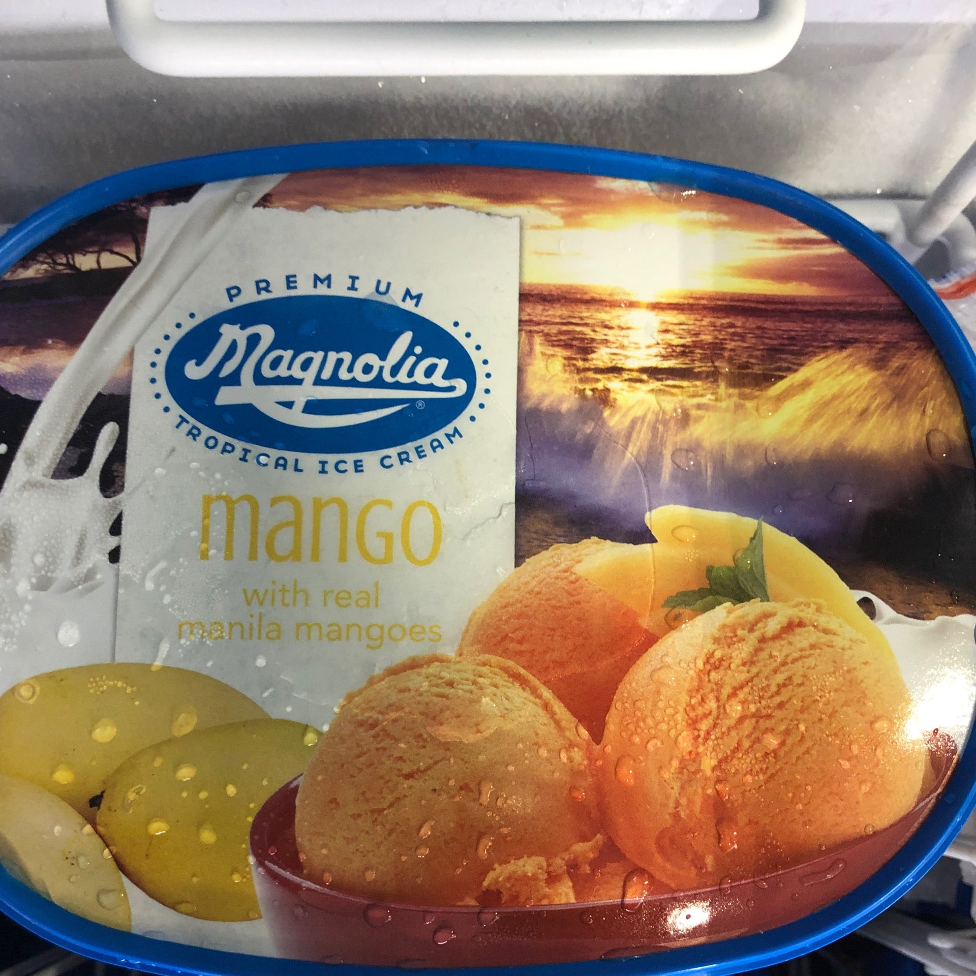 Magnolia Ice Cream